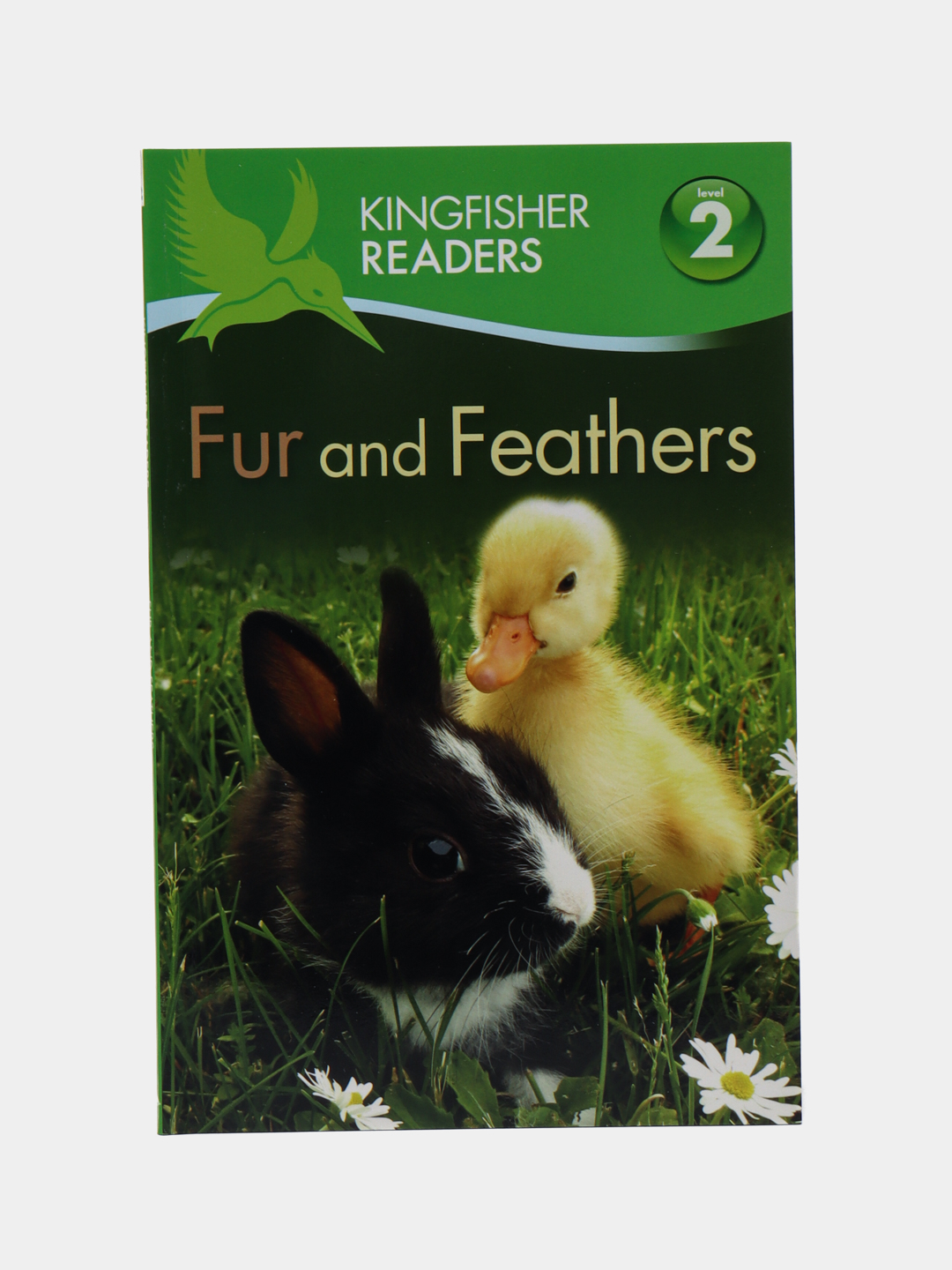 Kingfisher readers, Fur and Feathers, level 2, Claire Llewellynni arzon ...