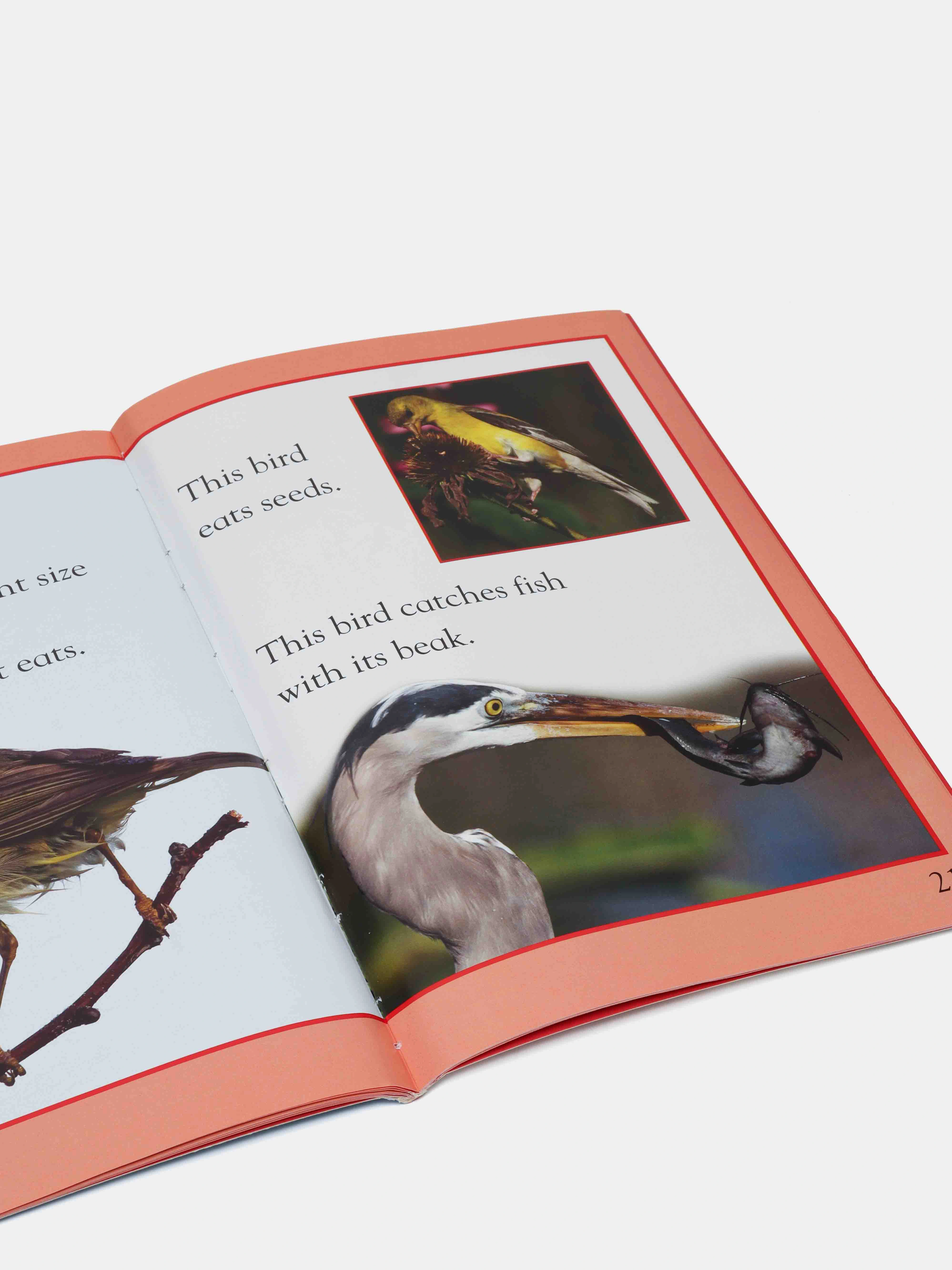 Kingfisher readers: Brilliant Birds Level 1ni arzon narxda sotib oling ...