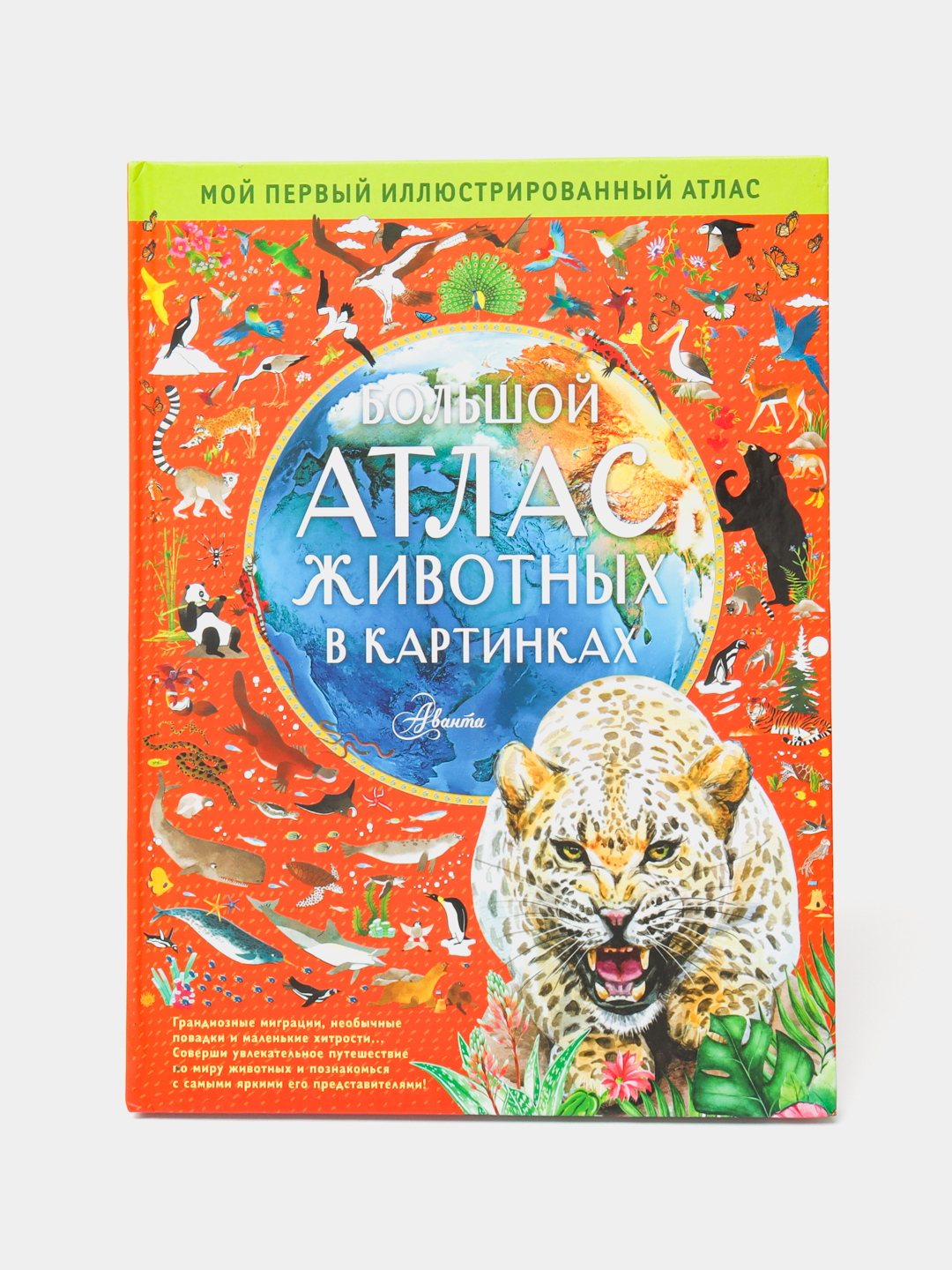 Большой атлас животных в картинках купить по низким ценам в интернет ...