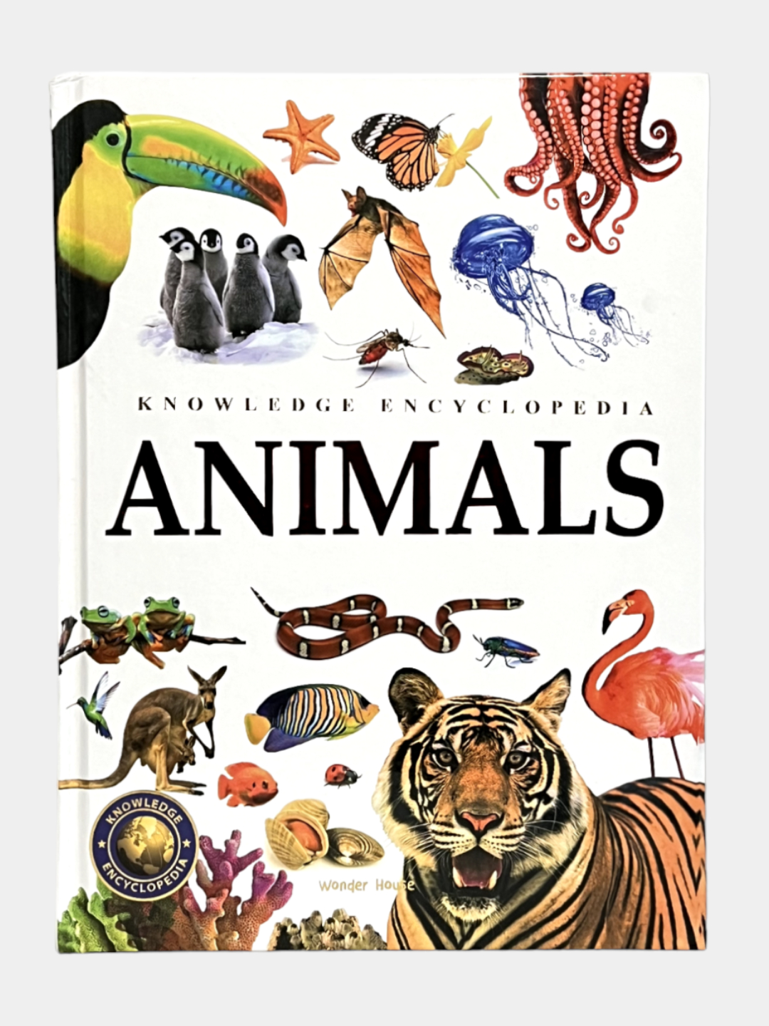 Knowledge Encyclopedia Animals, Inventions Discoveries, Human Body ...