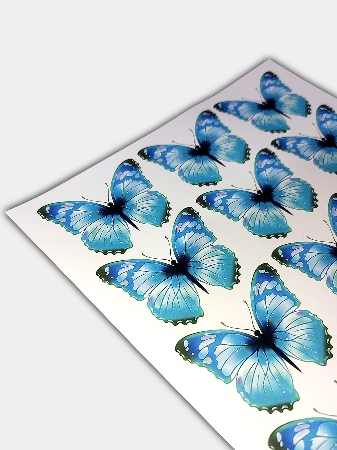 Kapalak buket uchunni arzon narxda sotib oling — Uzum (913432)