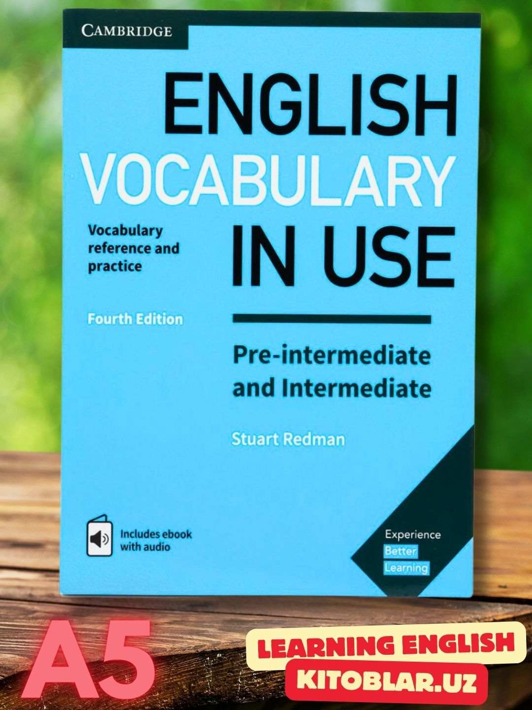 Stuart Redman English Vocabulary in Use Pre-intermediate and ...