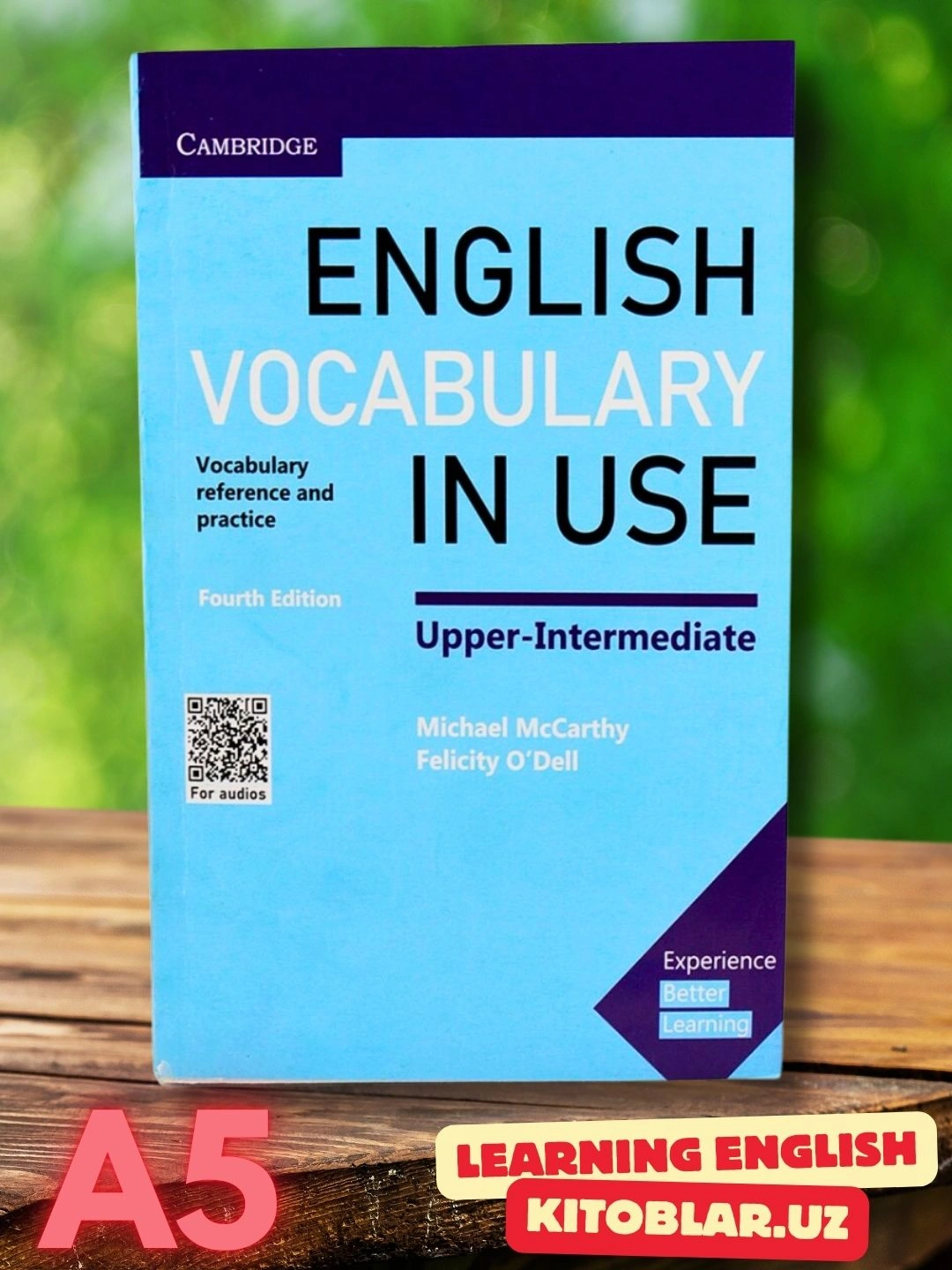 English Vocabulary in Use Elementary, Pre-Intermediate, Advanced, Upper ...