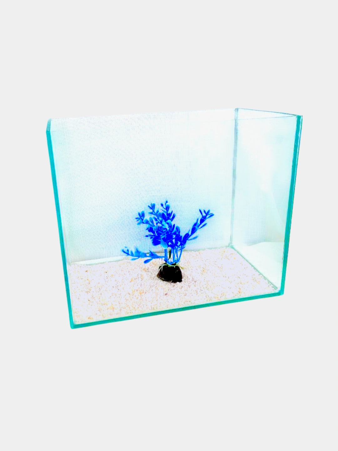 Akvarium 49900 so'mga 33% chegirma bilan. Uzum Market