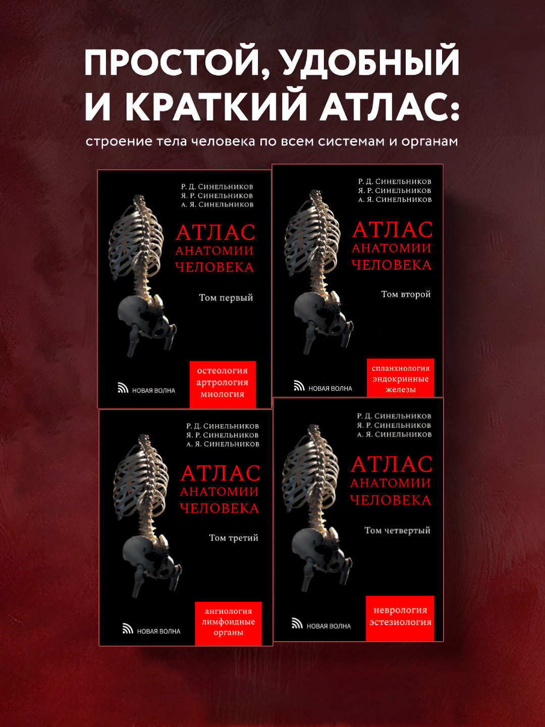 Атлас анатомии человека. Том 1-4, Р. Д. Синельников купить по низким ...