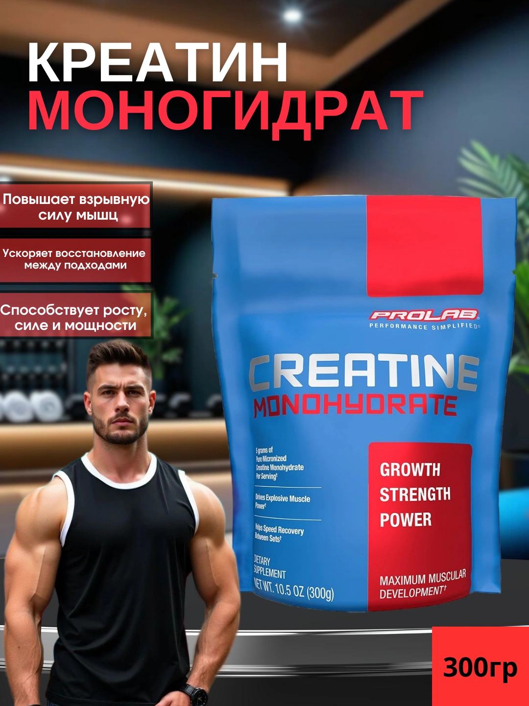 Креатин моногидрат Creatine Micronized Prolab Nutrition , 60 порций ...
