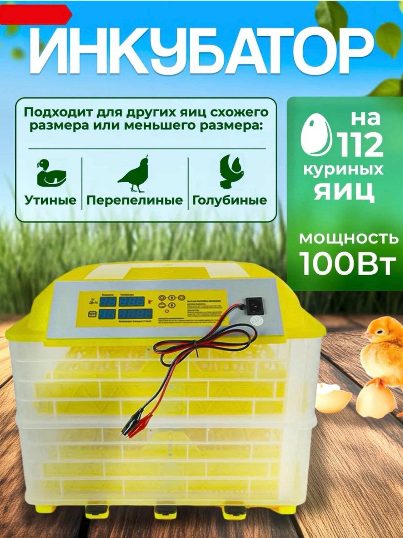 Tuxumlar uchun inkubator 56/112 tovuq tuxumi uchun, 12V va 220V dan ishlaydini arzon narxda ...