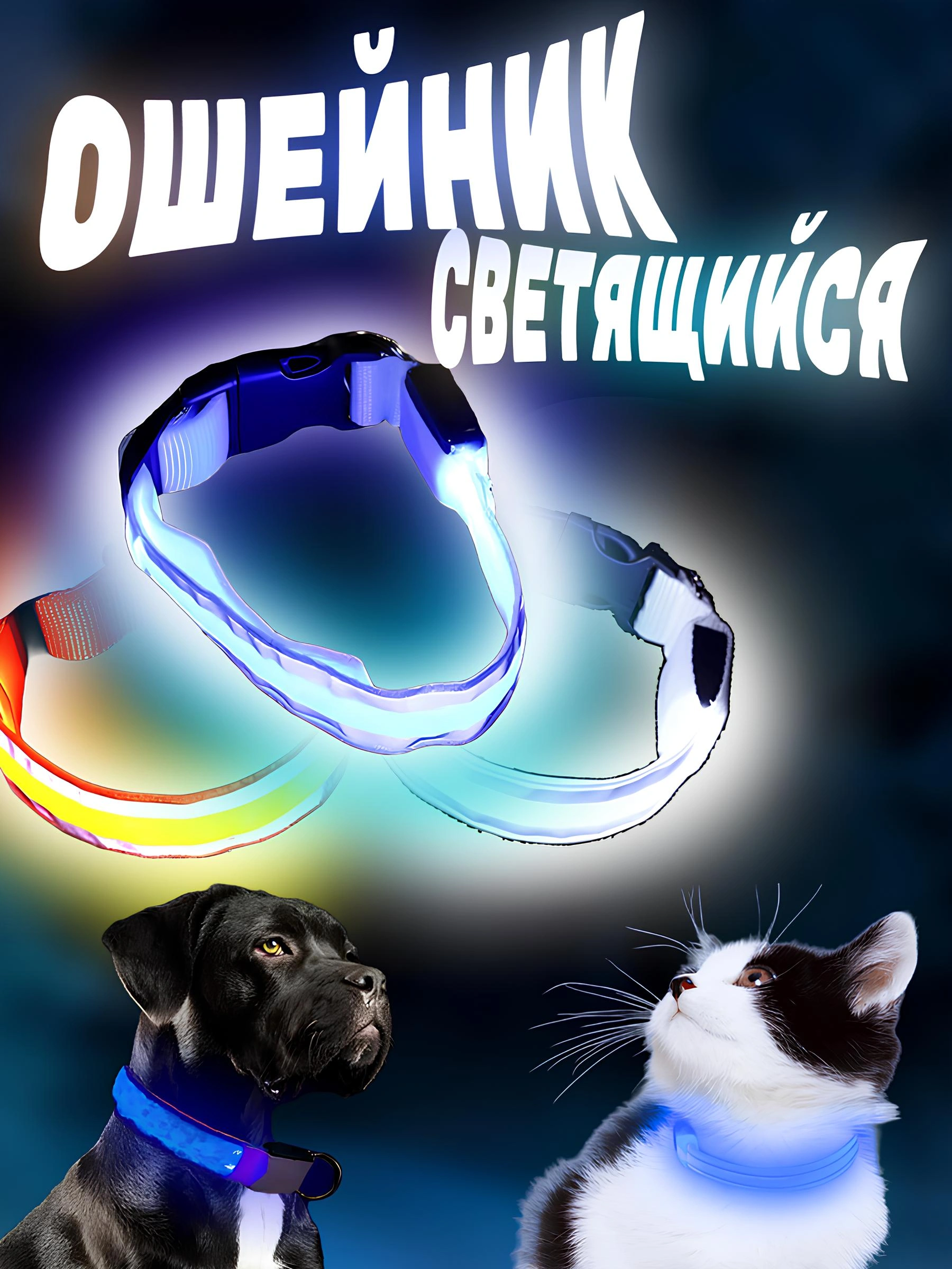 Yoqa LED bo'lib, itlar va mushuklar uchun batareyalarda porlaydini ...