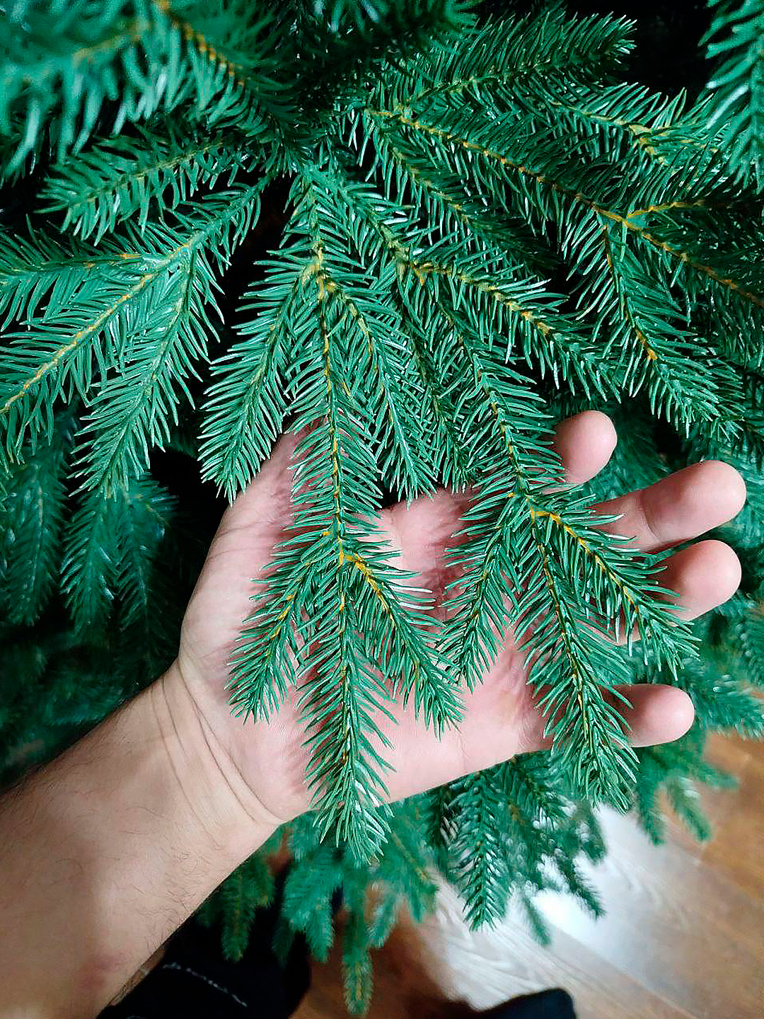 Искусственная ёлка зеленая 120/ 150/ 180/ 210/ 240/ 300/ 400 см за 19999990 сум со скидкой 50 ...